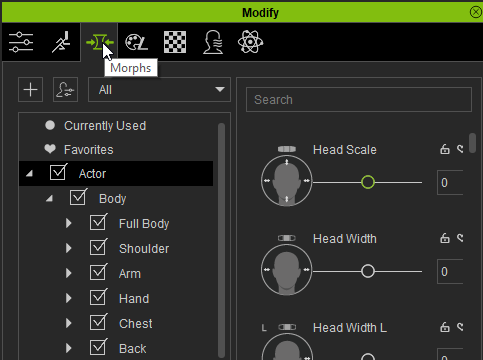 Head Model Editing Workflow