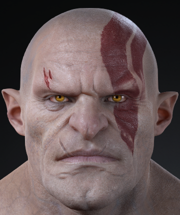 Head Model Editing Workflow