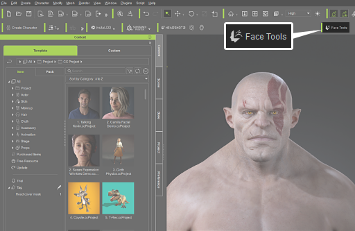 Head Model Editing Workflow