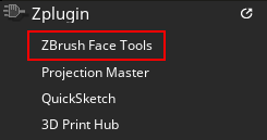 Head Model Editing Workflow