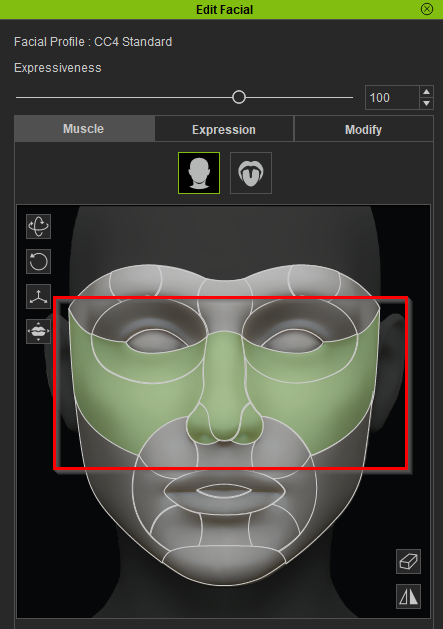 Wrinkle Mesh Editing workflow