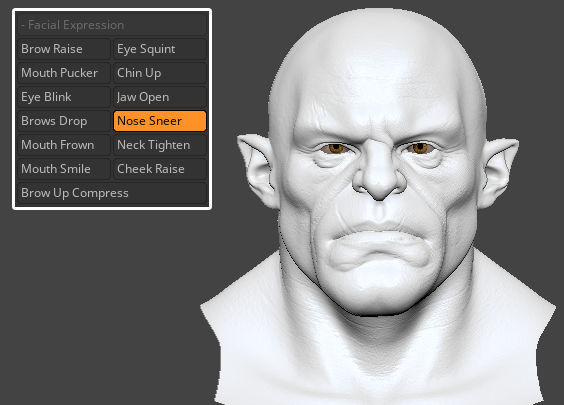 Using Range Maps for Wrinkle Editing in Zbrush