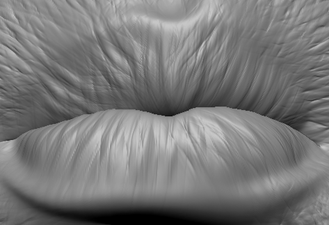 Wrinkle Guidelines for ZBrush