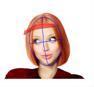 Specifying Face Orientation and Style