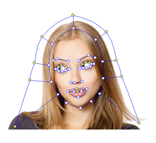 Facial Wireframe Modes