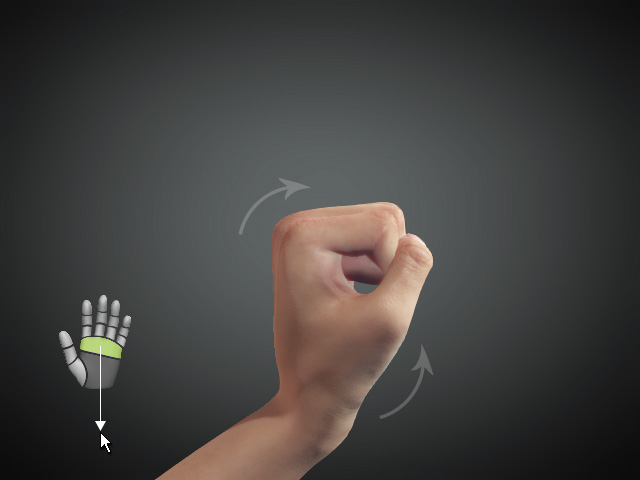 Setting Hand Gestures