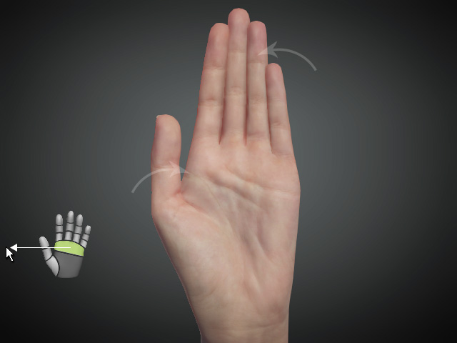 Setting Hand Gestures