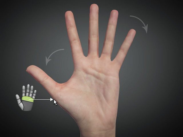 Setting Hand Gestures