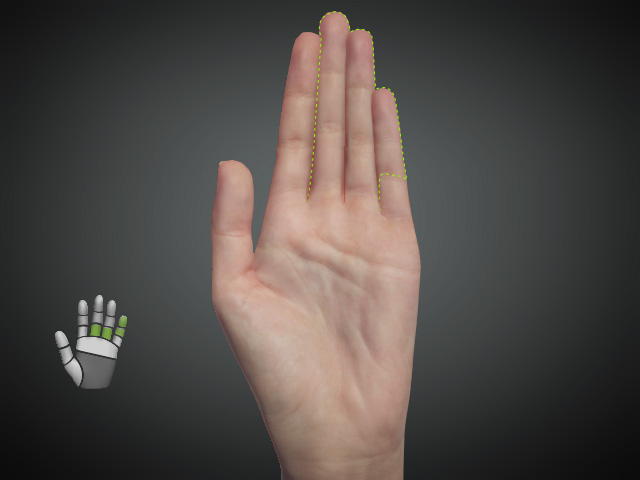 Setting Hand Gestures