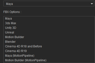 Exporting FBX Files