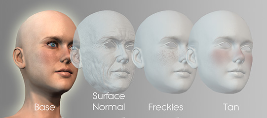Head Skin Texture Layers