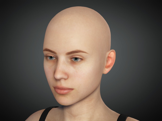 Settings in Appearance Editor - Head