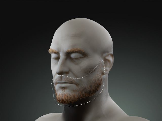 Applying Smart Hair Template