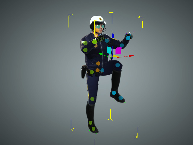 Selection for Edit Motion Layer panel