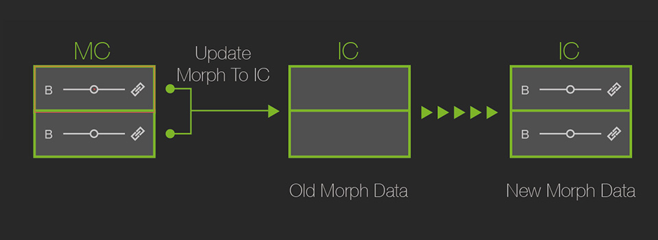 Sending and Updating Morph Data