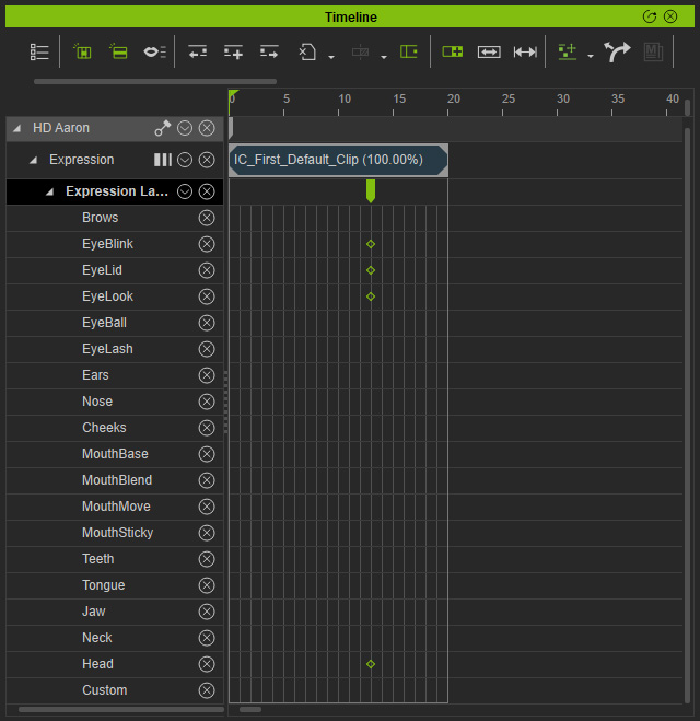 Using HD Face Control Panel and Timeline Display