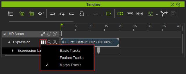 Using HD Face Control Panel and Timeline Display