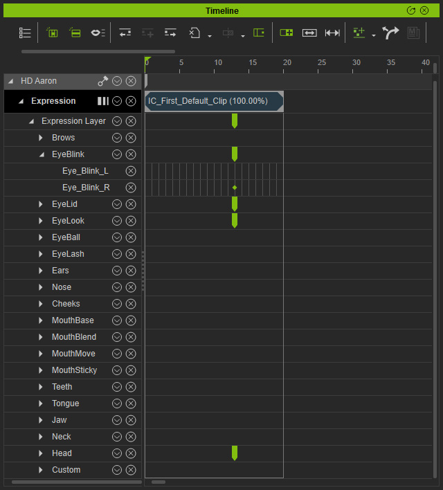 Using HD Face Control Panel and Timeline Display