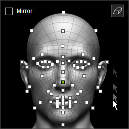 Adjusting Facial Features