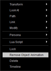 Capturing Motions with Custom Hand Gestures
