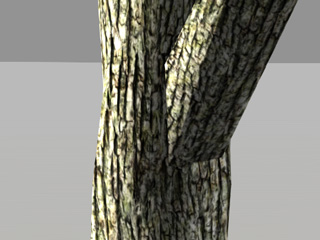 Speed Tree