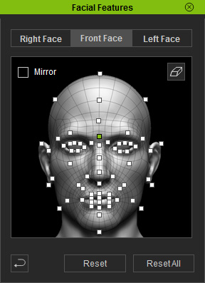 Adjusting Facial Features