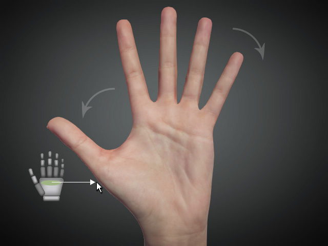 Setting Hand Gestures