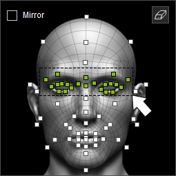 Detailing Overall Facial Features