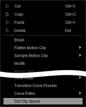 Manually Setting Clip Speed