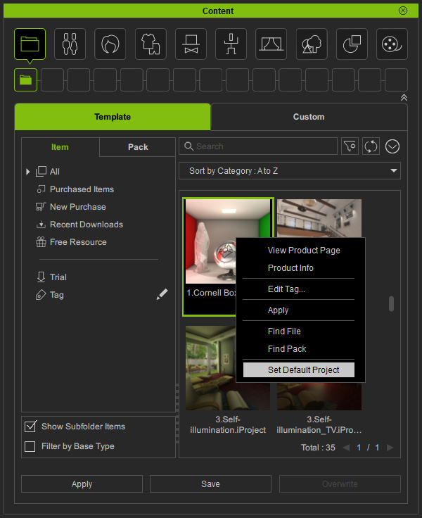 Project Section